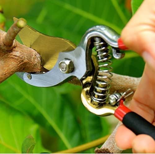 Garden Snips & Pruners | Sharp, Ergonomic, Durable | Garden Guru®